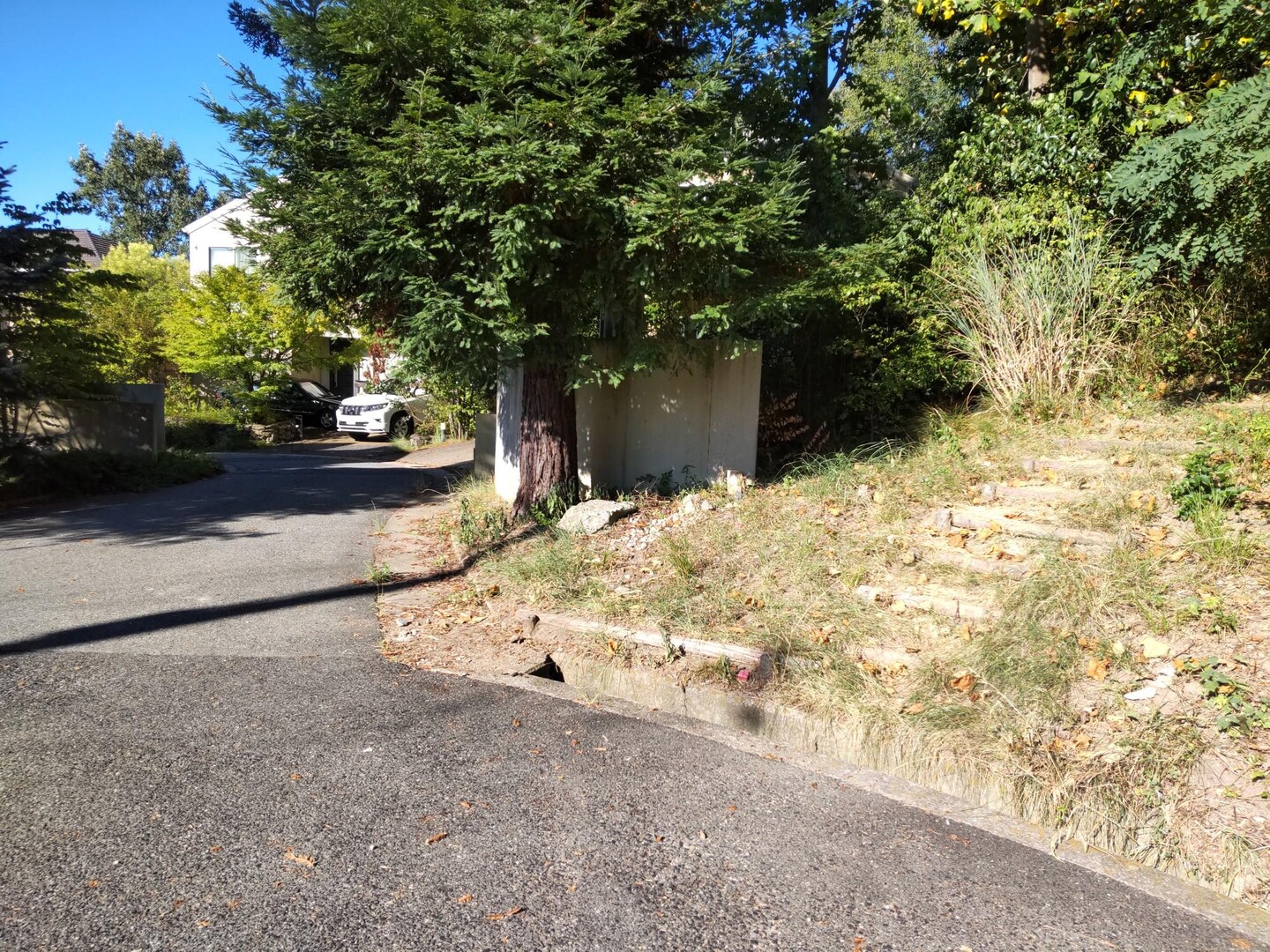 miyukyさんの投稿したフィールドメモ | YAMAP / ヤマップ