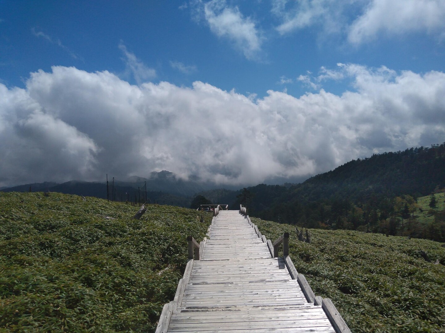 大台ヶ原山（日出ヶ岳） / hrkさんの大台ヶ原山・日出ヶ岳・大杉谷の活動データ | YAMAP / ヤマップ