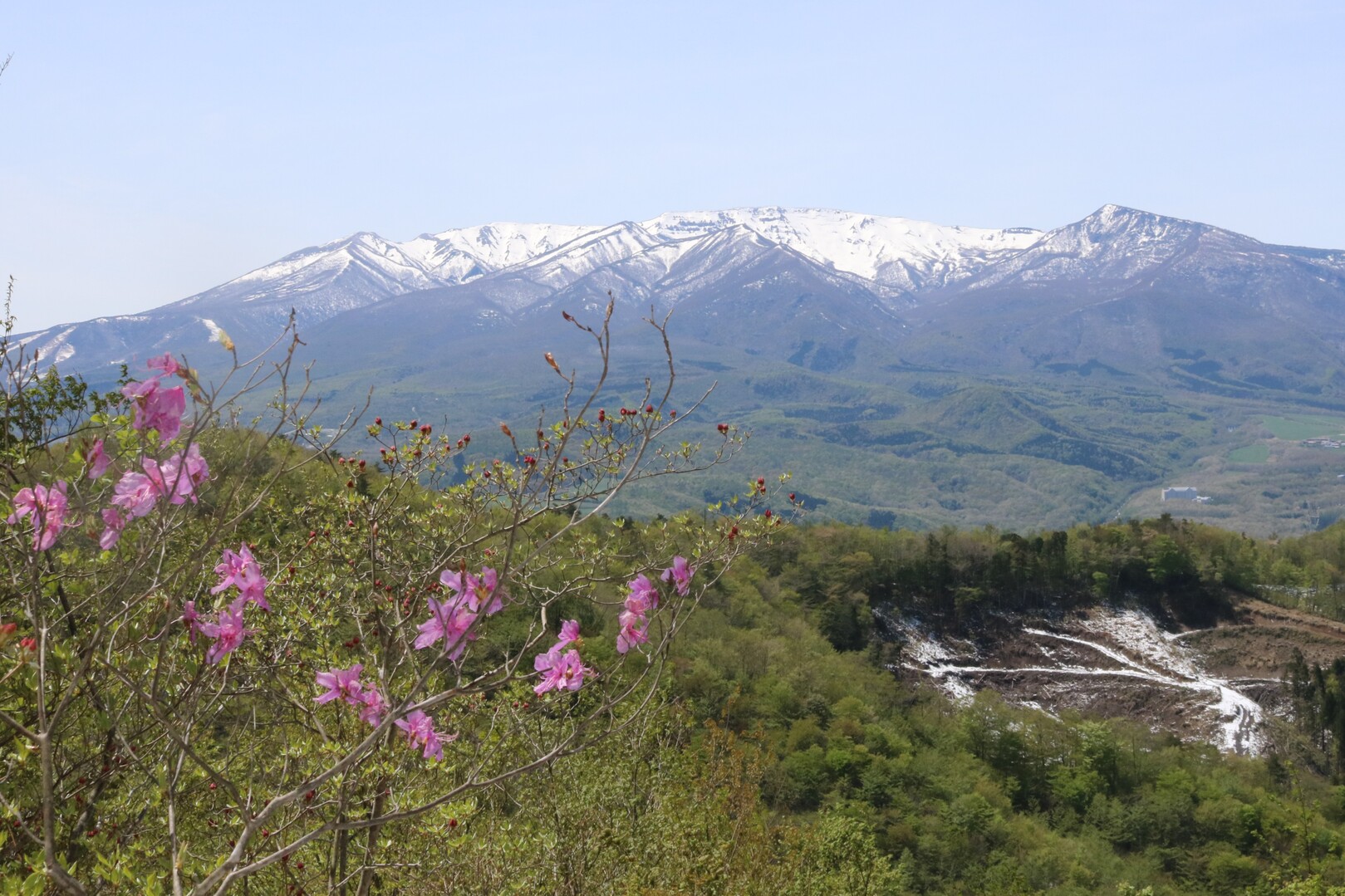 パパはTonyさんの投稿したフィールドメモ | YAMAP / ヤマップ