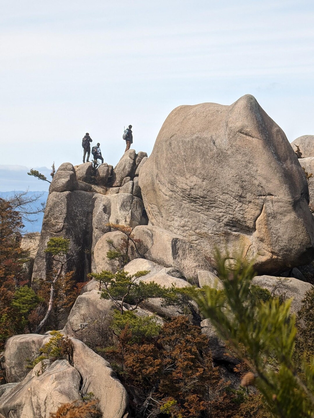 いいとこたくさんてんこ盛り翔んで滋賀 金勝アルプス / senさんの金勝アルプス（鶏冠山・竜王山）の活動データ | YAMAP / ヤマップ