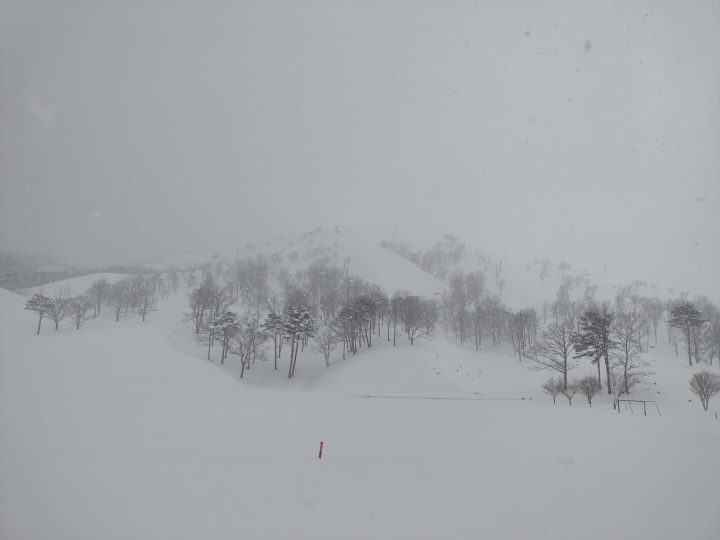 深入山2 / taizo-sさんの深入山の活動データ | YAMAP / ヤマップ