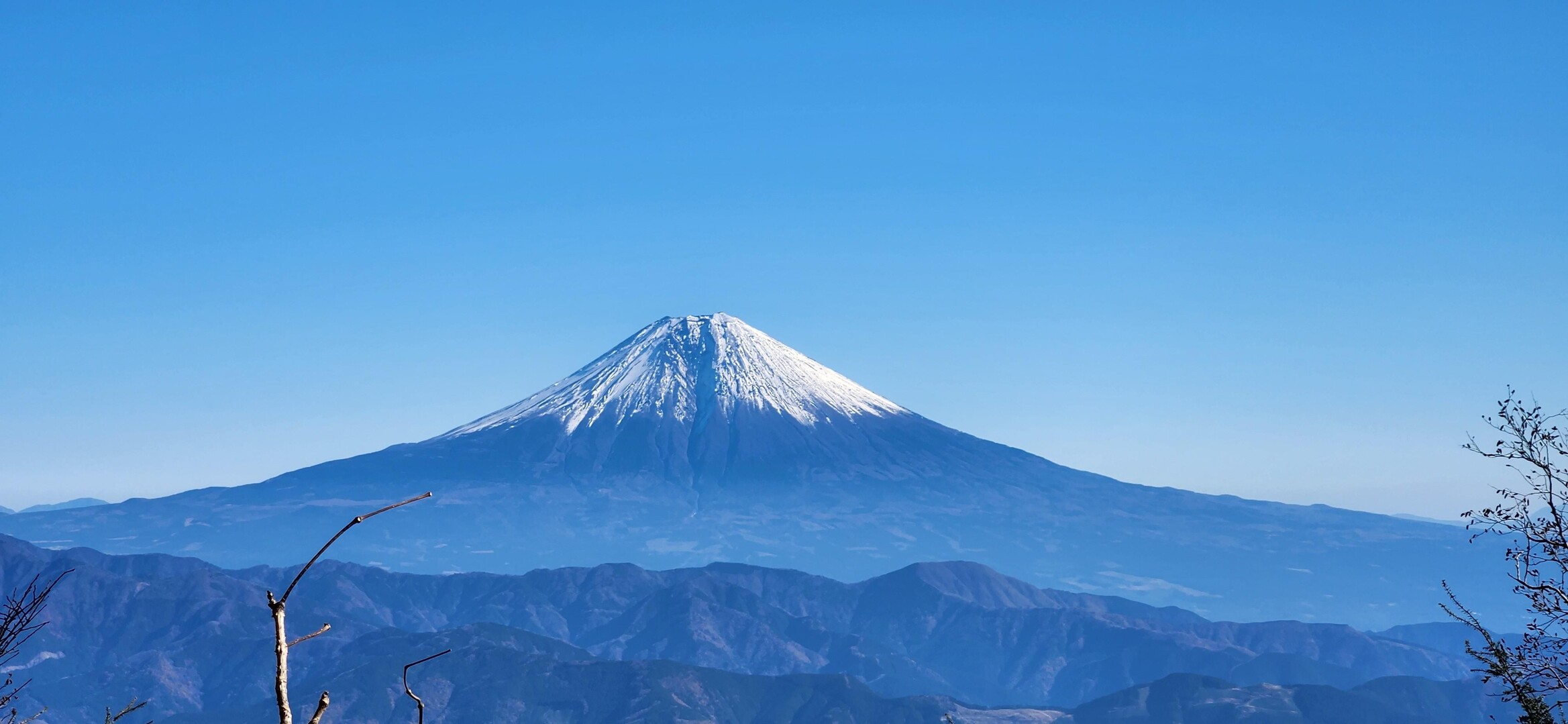 小春日和 / yasutakaさんの山伏・八紘嶺・笹山の活動データ | YAMAP / ヤマップ