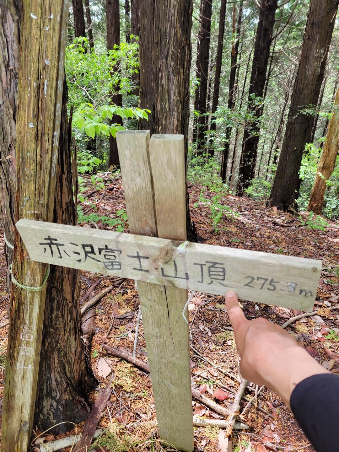 御前山・赤沢富士×2・ 井殿山・津室山・白山・ 茨城100山⛰️ソロ登山の巻💠 / Toshiakiさんの御前山の活動データ | YAMAP / ヤマップ