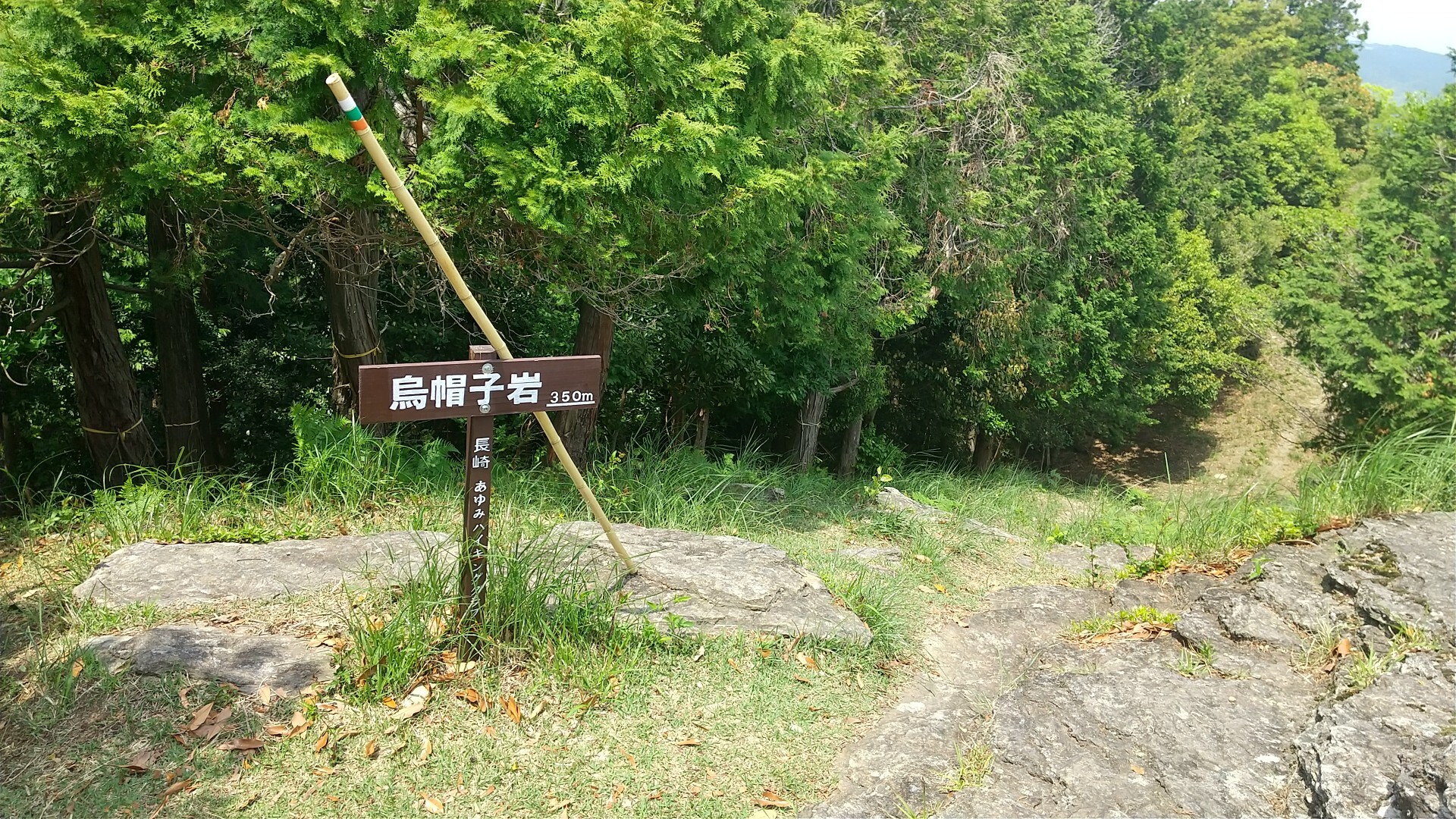 巨木杉 橘翔大展望 烏帽子岩 戸町岳 / issaさんの岩屋山・舞岳の活動日記 | YAMAP / ヤマップ