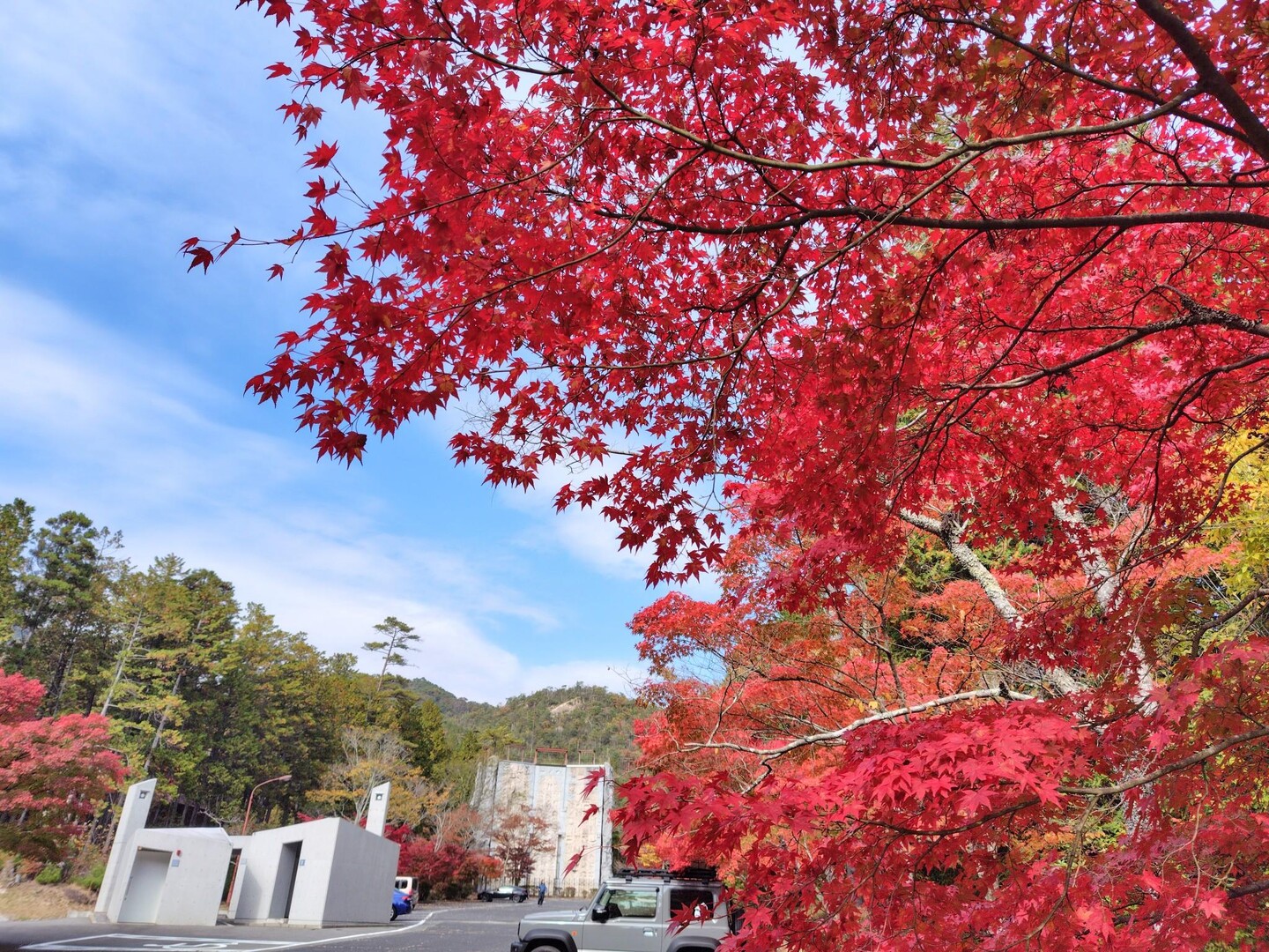 鮮やかな晩秋🍁 三倉岳自然公園 大竹市-2024-11-14 / Ponさんの三倉岳・瓦小屋山の活動データ | YAMAP / ヤマップ