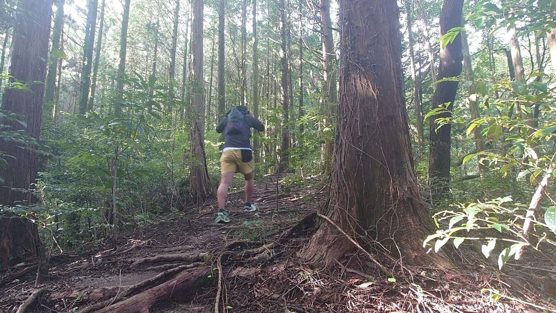 基山・天拝ラウンドトレイル / RYUさんの天拝山・基山の活動データ | YAMAP / ヤマップ