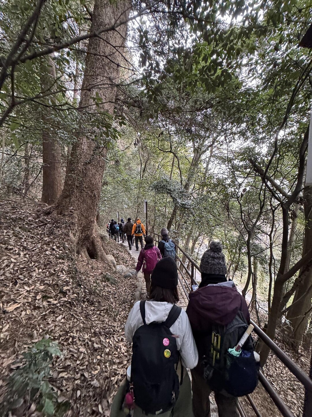 久しぶりの里山整備。いま、自分の筋肉に聞... / akioさんのモーメント | YAMAP / ヤマップ
