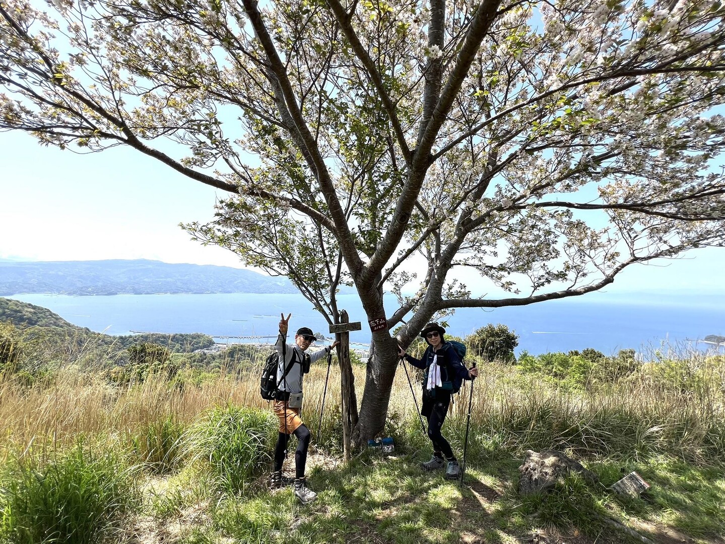 桜舞う🌸沼津アルプス (大平山〜香貫山) / ZO-kunさんの沼津アルプス・鷲頭山・香貫山の活動データ | YAMAP / ヤマップ