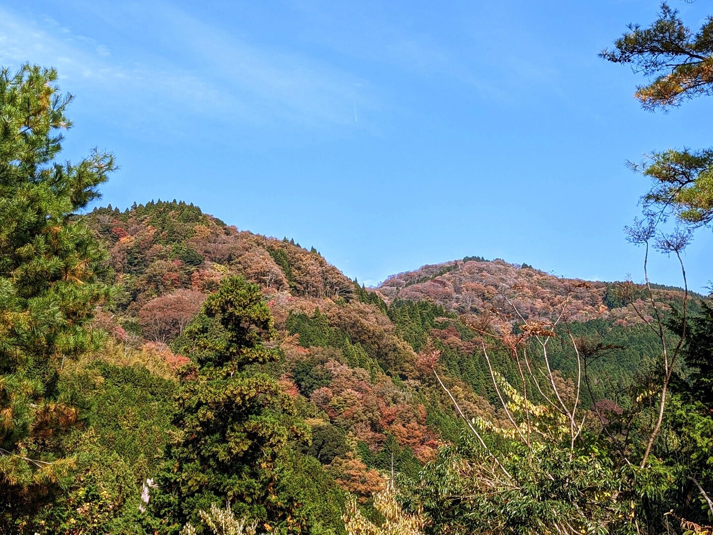 😃由良ヶ岳💦関西百名山#49 / "satoh"さんの由良ヶ岳の活動データ | YAMAP / ヤマップ