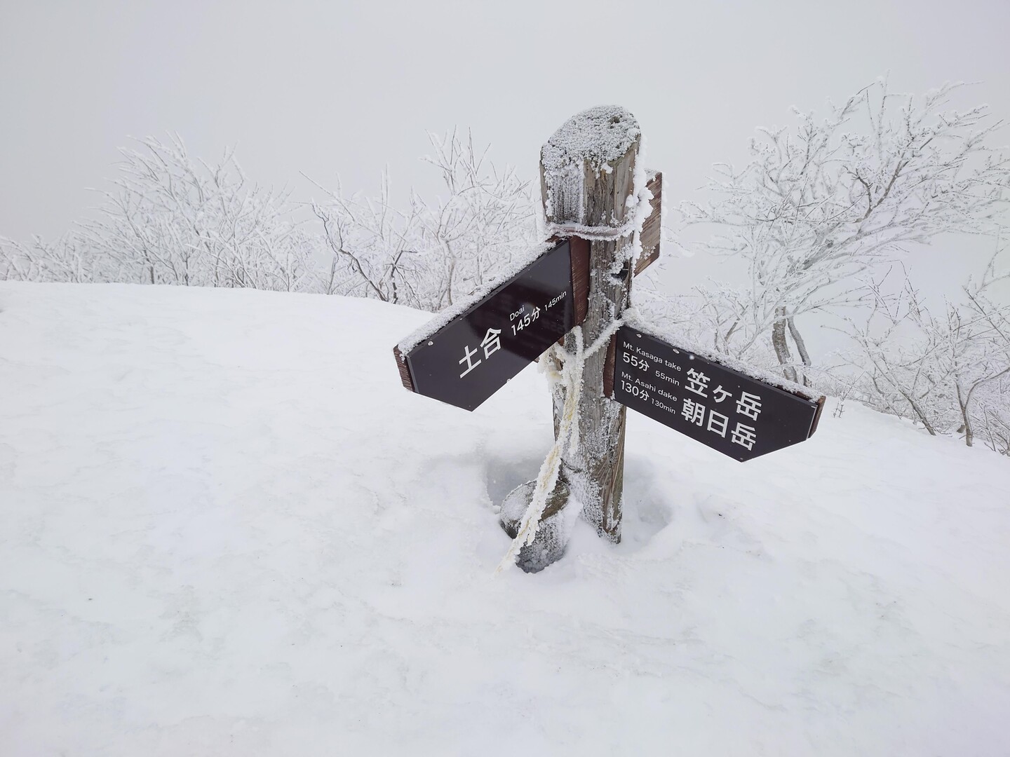 雪山白毛門7.4km / きんちゃんさんの朝日岳の活動データ | YAMAP / ヤマップ