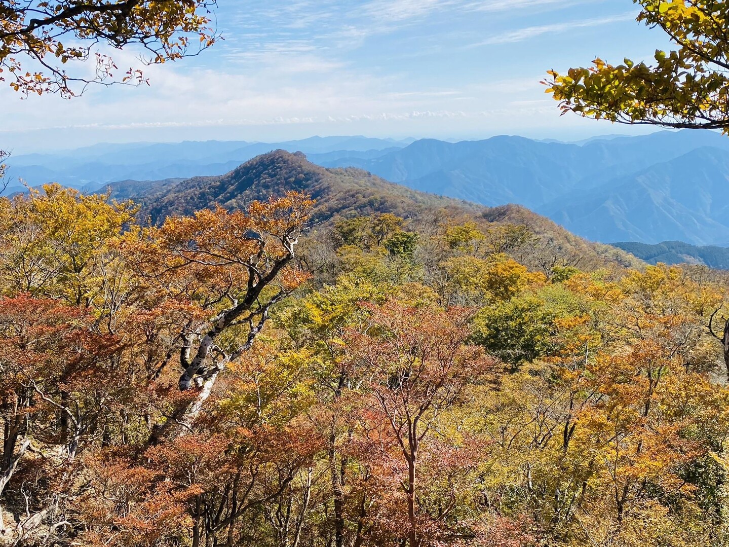 口迷岳・迷岳 / 小桜‪𓅪さんの迷岳・白倉山・古ヶ丸山の活動データ | YAMAP / ヤマップ