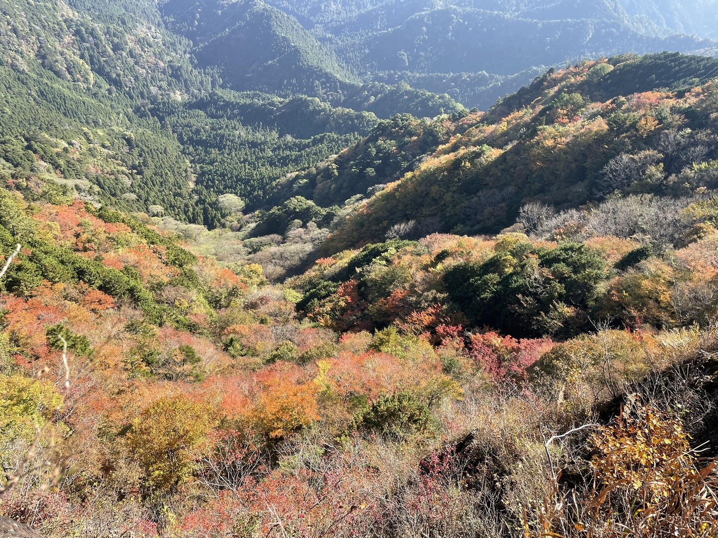 明神山（三ツ瀬明神山） / Aiさんの明神山（三ツ瀬明神山）の活動データ | YAMAP / ヤマップ