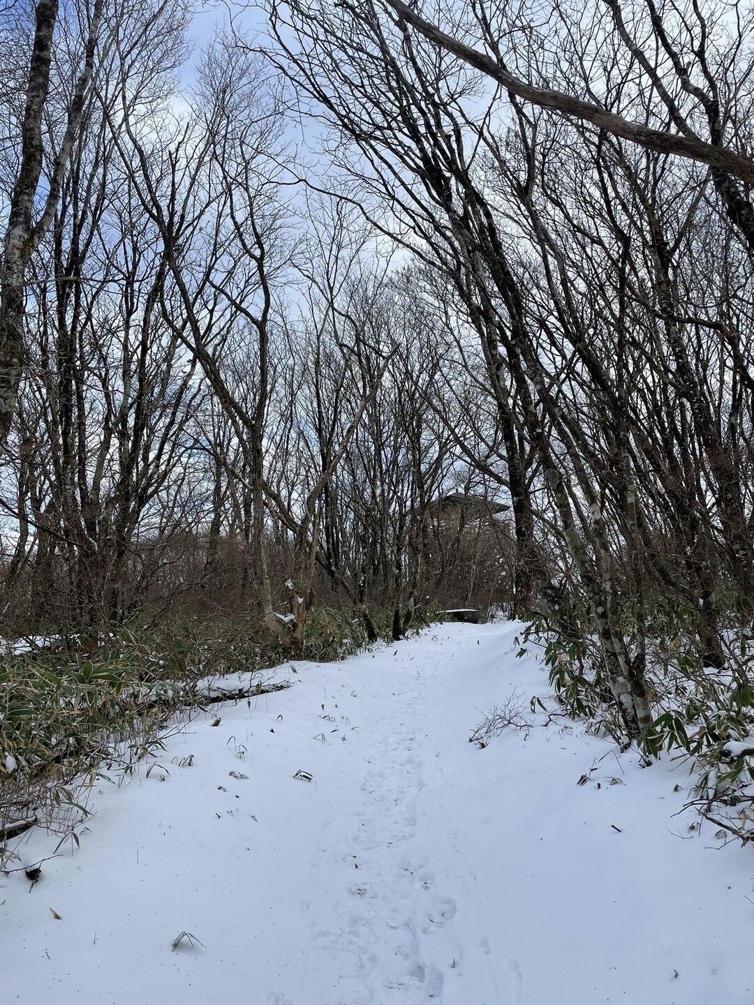 日山(天王山)へ再び ️ / sammyくんさんの日山（天王山）の活動日記 | YAMAP / ヤマップ