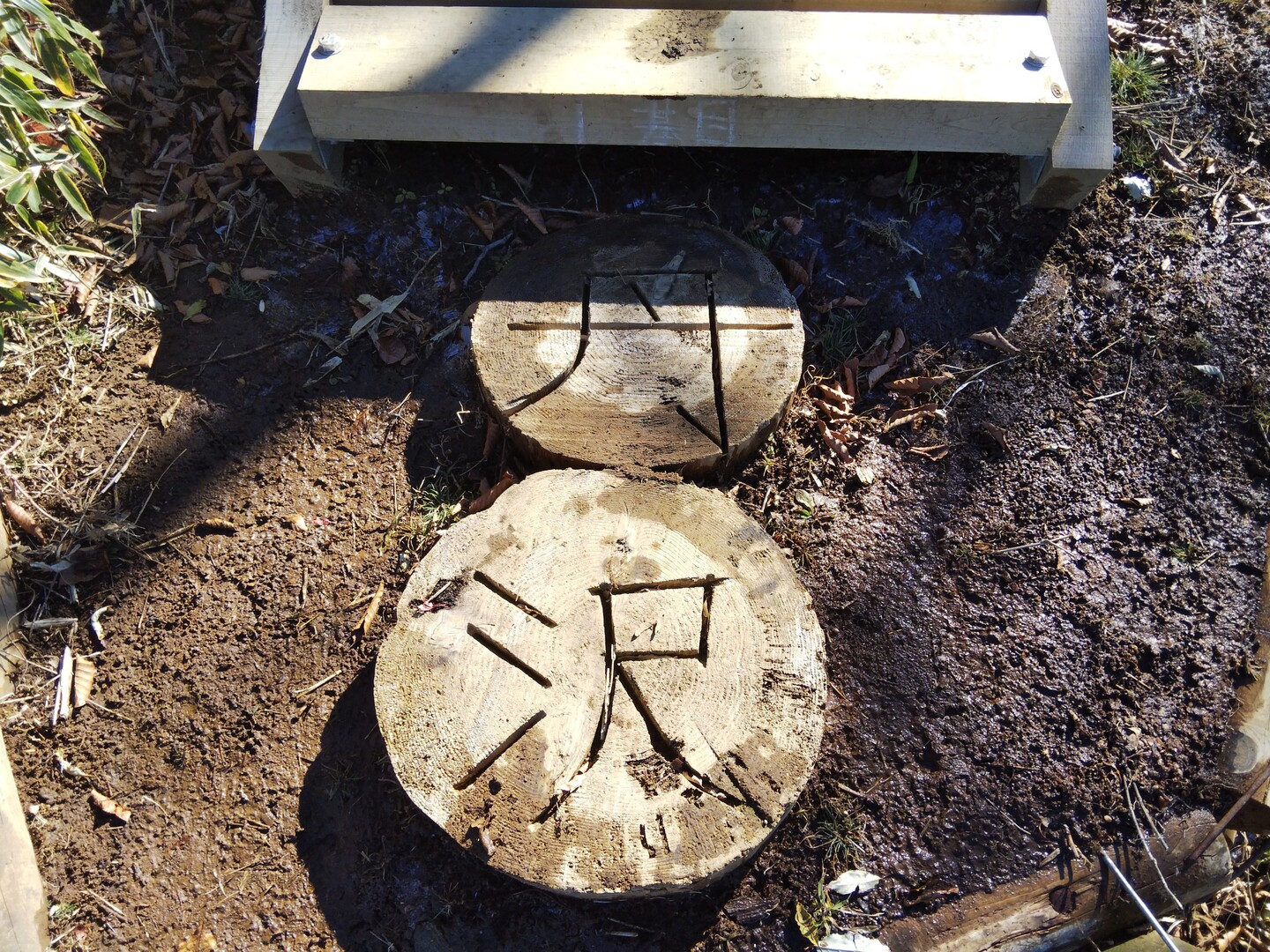 戸沢～蛭ヶ岳 / kazu-haさんの塔ノ岳・丹沢山・蛭ヶ岳の活動データ | YAMAP / ヤマップ