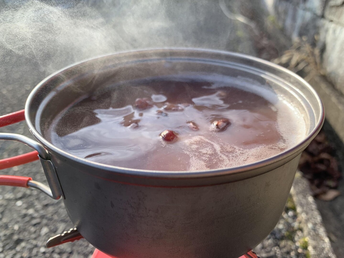 大晦日 恩地越えで一年のお礼参り 2022-12-31 / MSKさんの生駒山・神津嶽・大原山の活動データ | YAMAP / ヤマップ