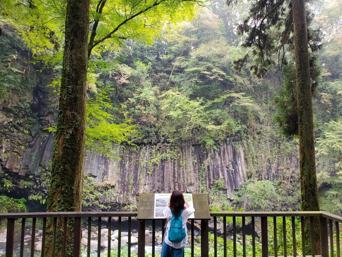 霧島神宮周辺ウォーキング-2023-10-01 / Hitomi.sさんの霧島市 中央エリアの活動データ | YAMAP / ヤマップ