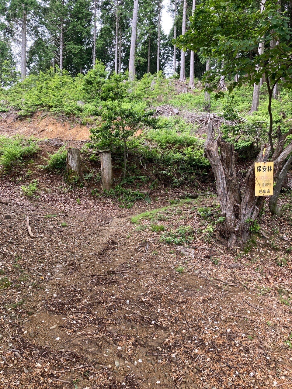 ワッカマンさんの投稿したフィールドメモ | YAMAP / ヤマップ