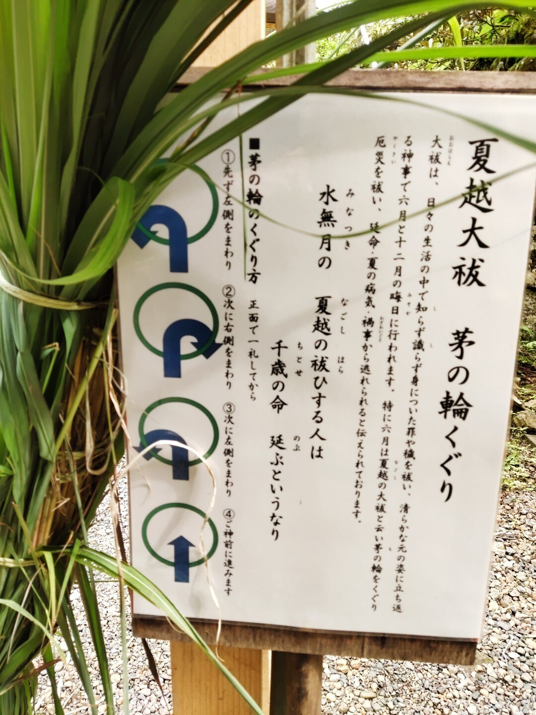 北茨城市の花園神社に、心身を清め、無病息... / shibakinさんのモーメント | YAMAP / ヤマップ