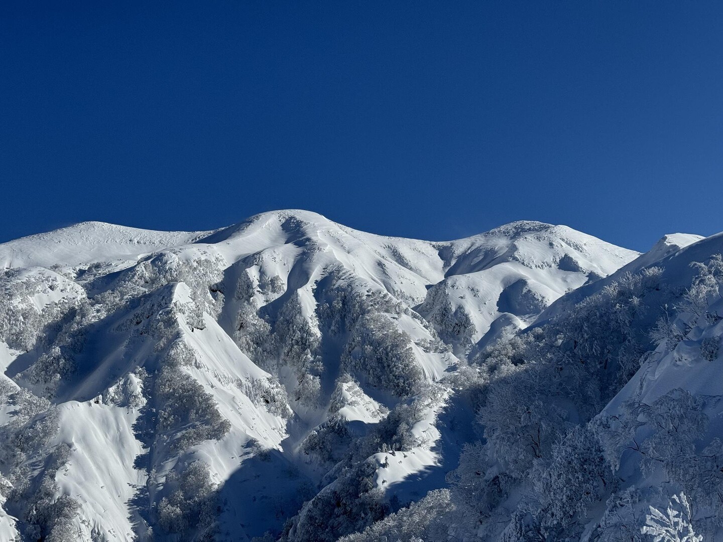 粟ヶ岳 / yumaさんの粟ヶ岳・權ノ神岳・宝蔵山の活動日記 | YAMAP / ヤマップ