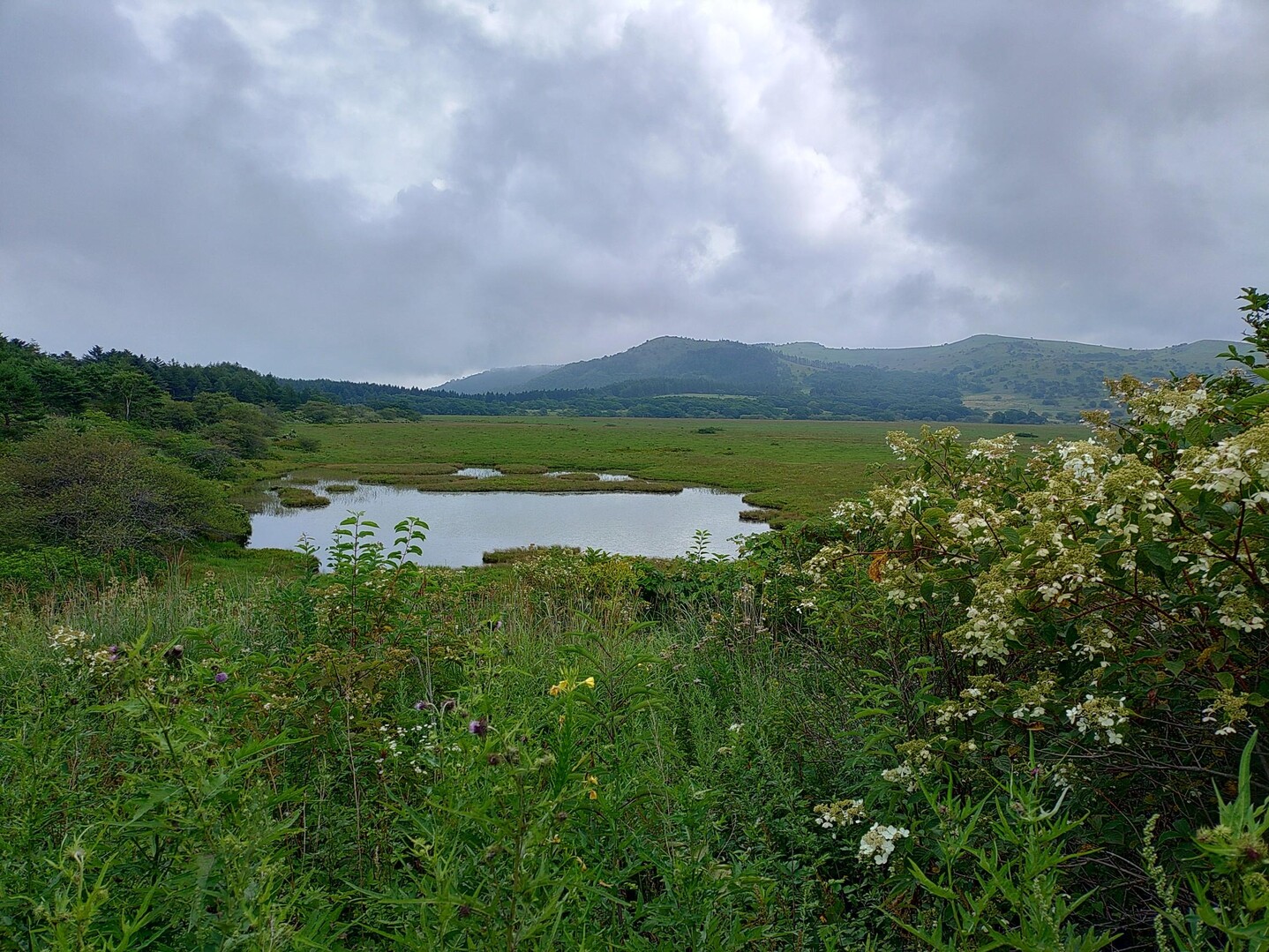 2024/8/13 霧ヶ峰 / K.TANAさんのモーメント | YAMAP / ヤマップ