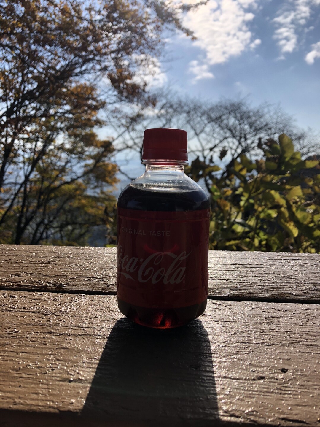 西蒲三山縦走往復失敗🐗 / マスターRUNキチさんの角田山の活動日記 | YAMAP / ヤマップ