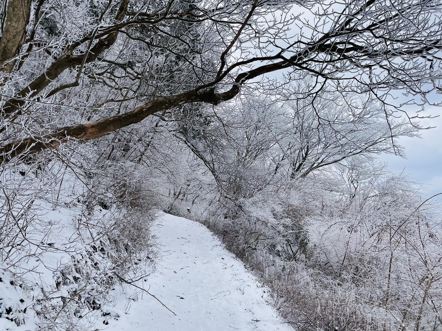 六甲山 ️山は道連れ🚶‍♀️🚶🚶‍♀️ / KAWAさんの六甲山・長峰山・摩耶山の活動データ | YAMAP / ヤマップ