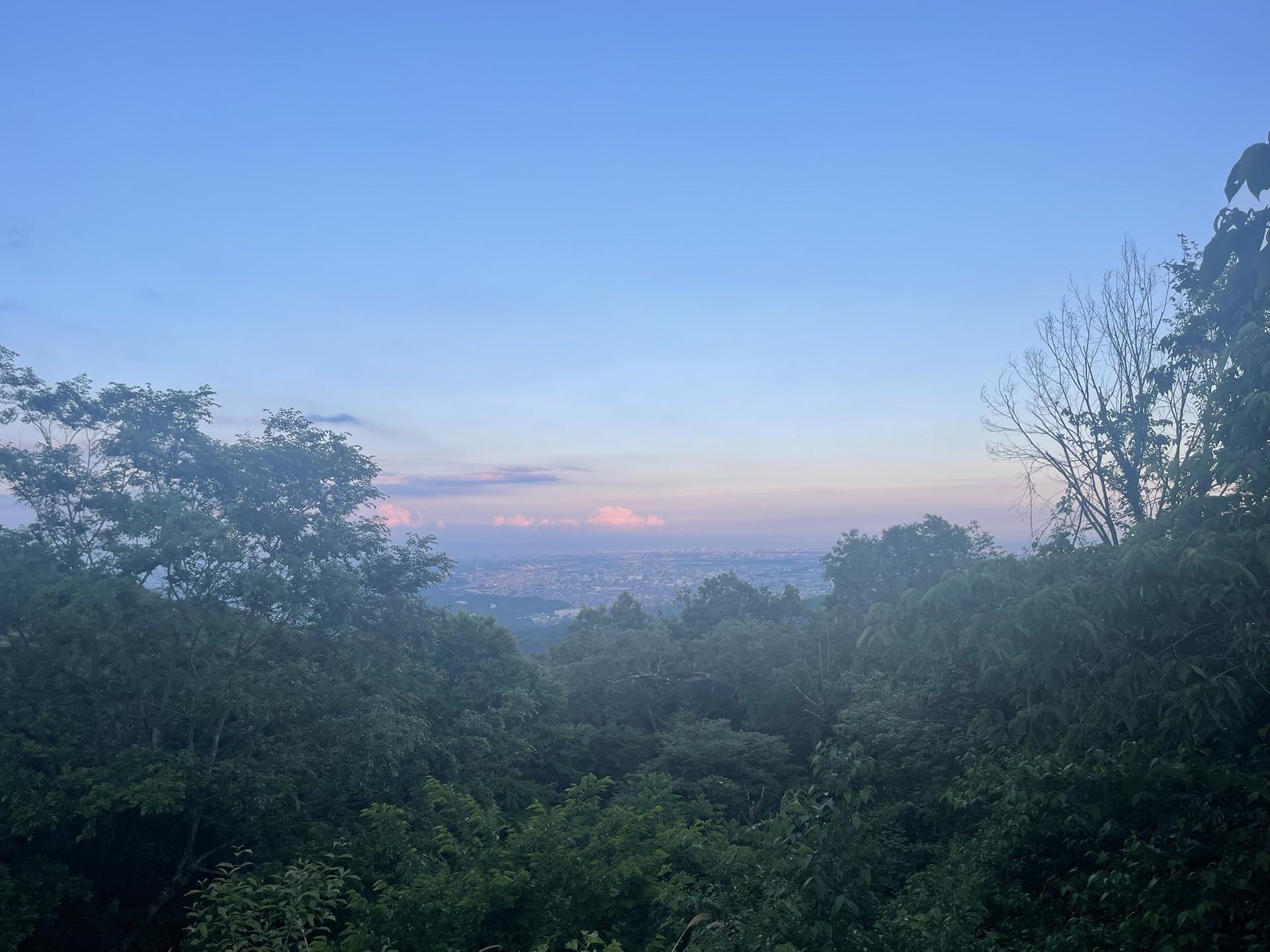Global Running Dayのリハビリ: 高尾へ / Thrillerさんの高尾山・陣馬山・景信山の活動データ | YAMAP / ヤマップ