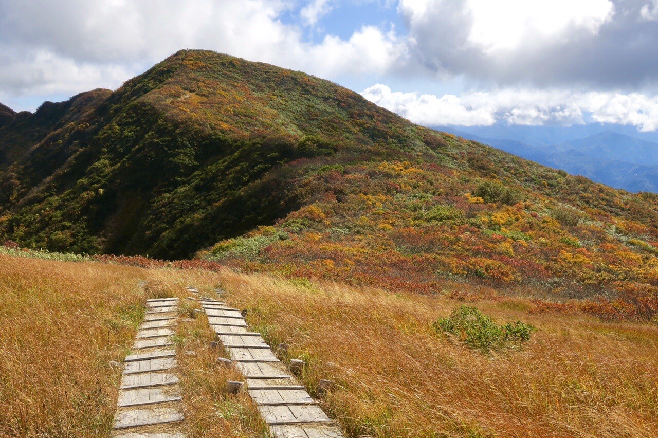 紅葉を追いかけ 青雲岳・守門岳・大岳 / Yosshyさんの守門岳・大岳・網張山の活動データ | YAMAP / ヤマップ