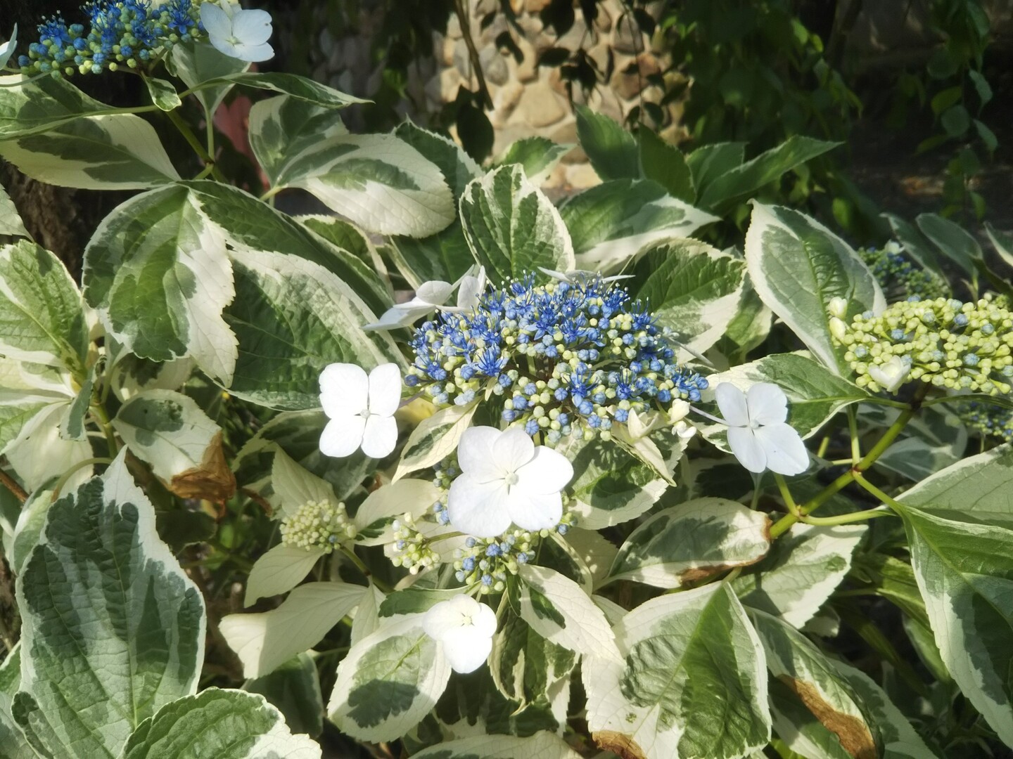 雨の降らないうちに・・・。 / たらさんのモーメント | YAMAP / ヤマップ