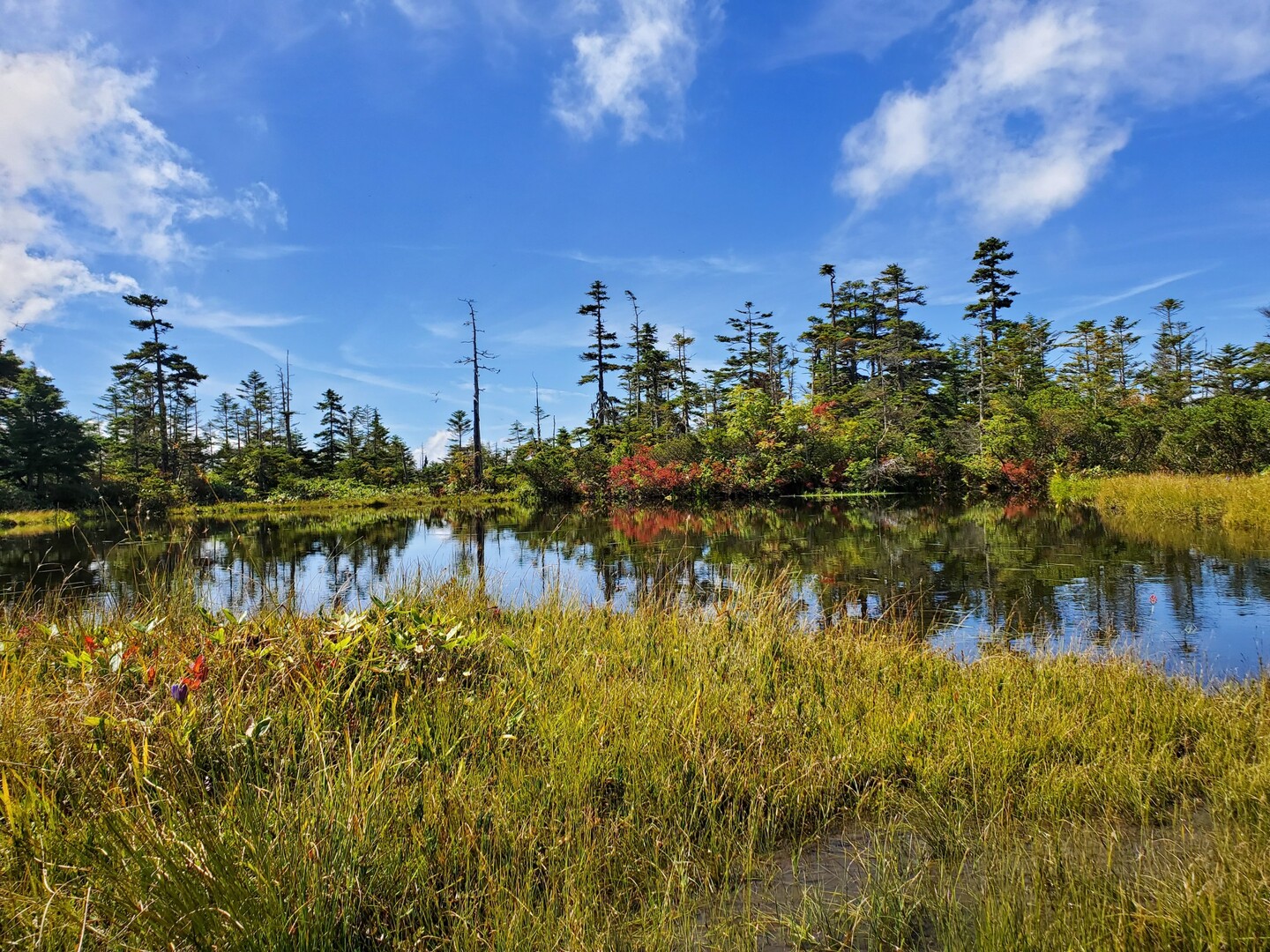 焼額山 / TEAM YJ MOUNTAINEERINGさんの焼額山の活動日記 | YAMAP / ヤマップ