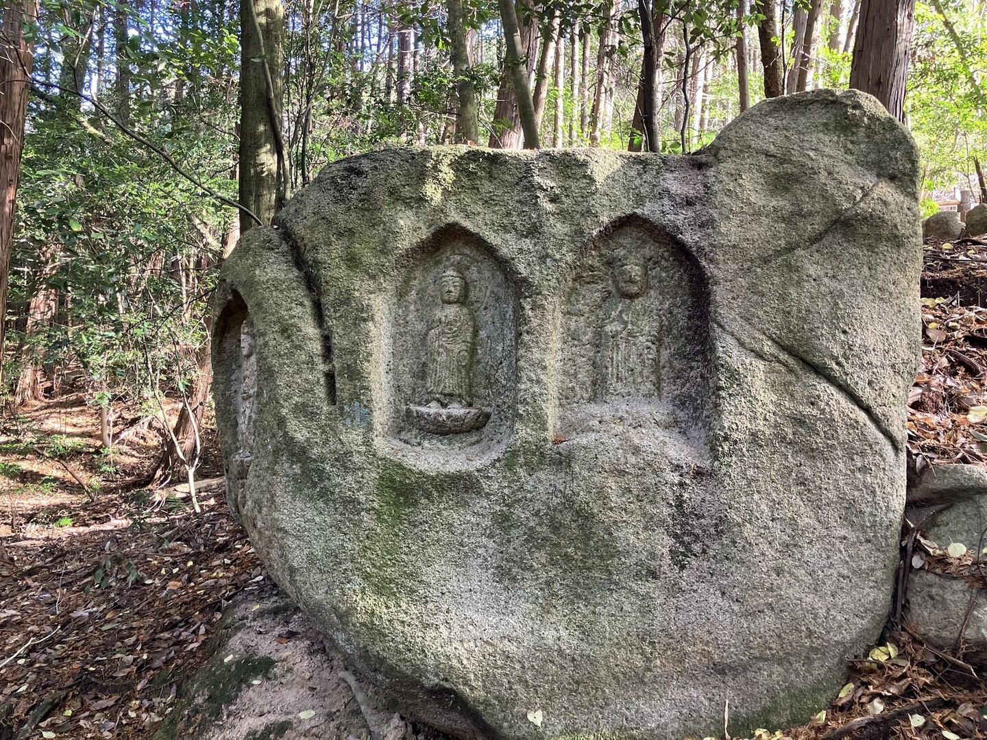 旗振山・田中山・東光寺日陽山 / kaoriさんの三上山・鏡山の活動データ | YAMAP / ヤマップ