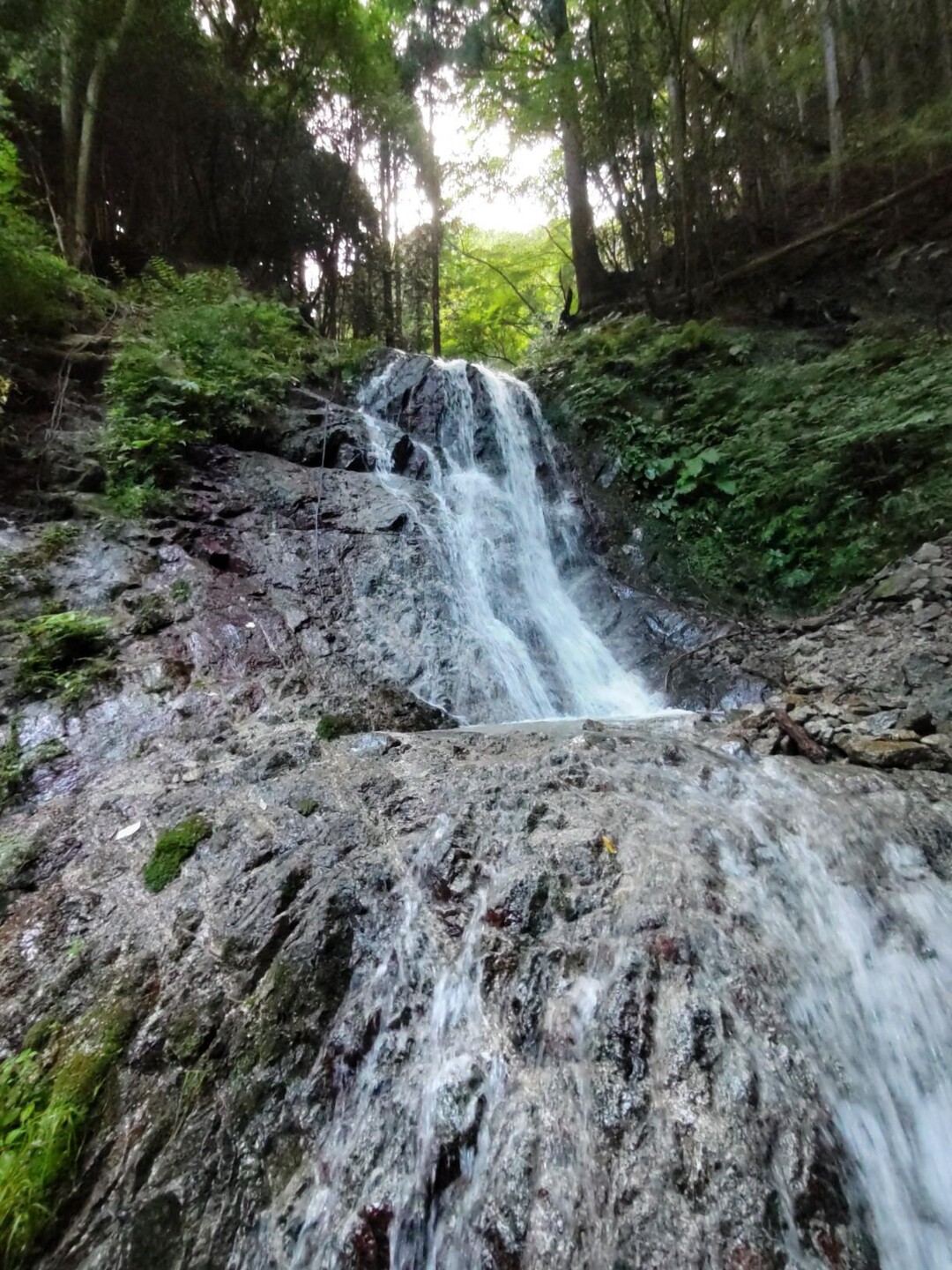 金剛山 初めてのルート / T64さんの金剛山・二上山・大和葛城山の活動データ | YAMAP / ヤマップ