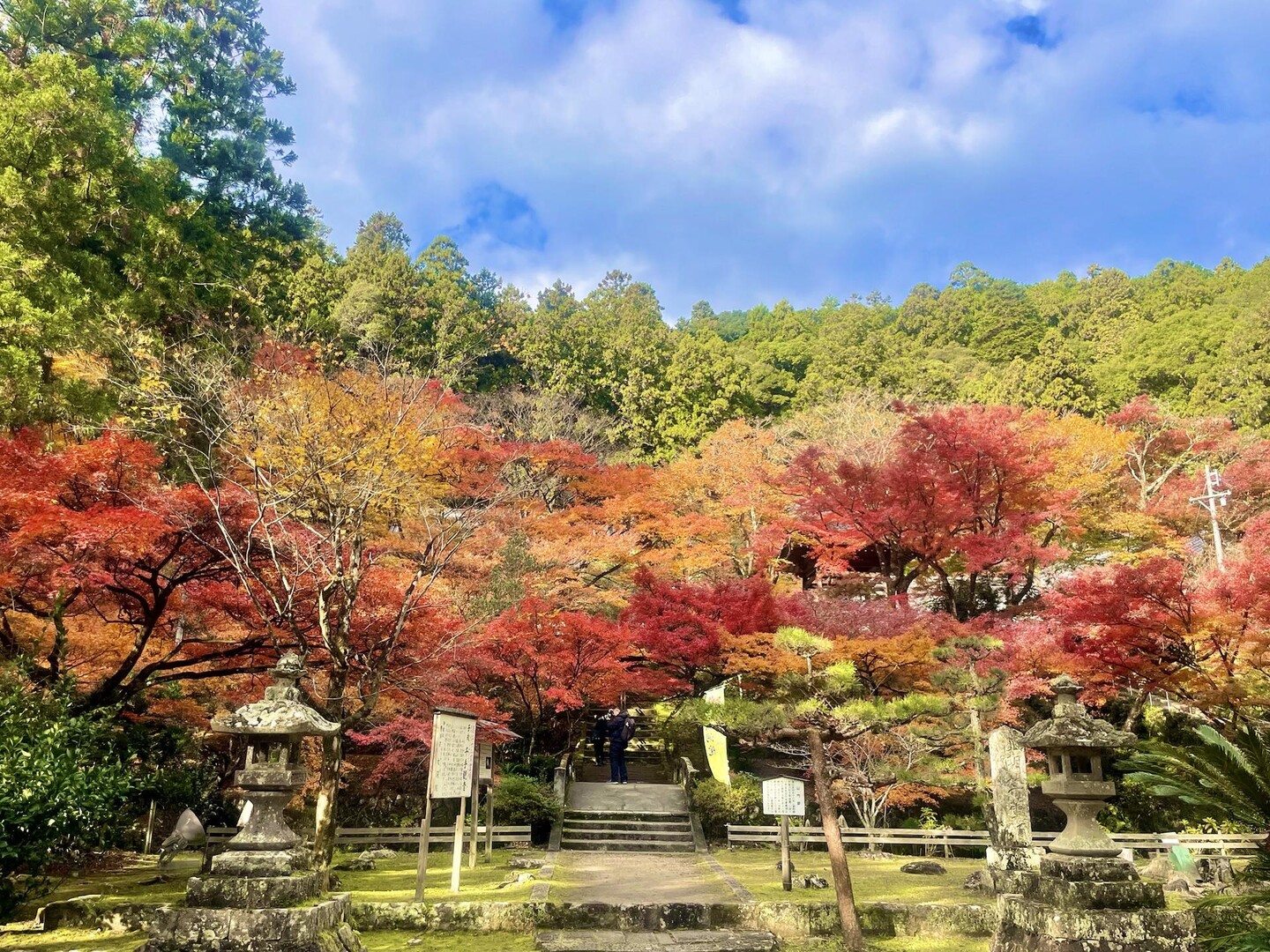 八形山vol.66 / いぶあこさんの本宮山・高塚山の活動データ | YAMAP / ヤマップ