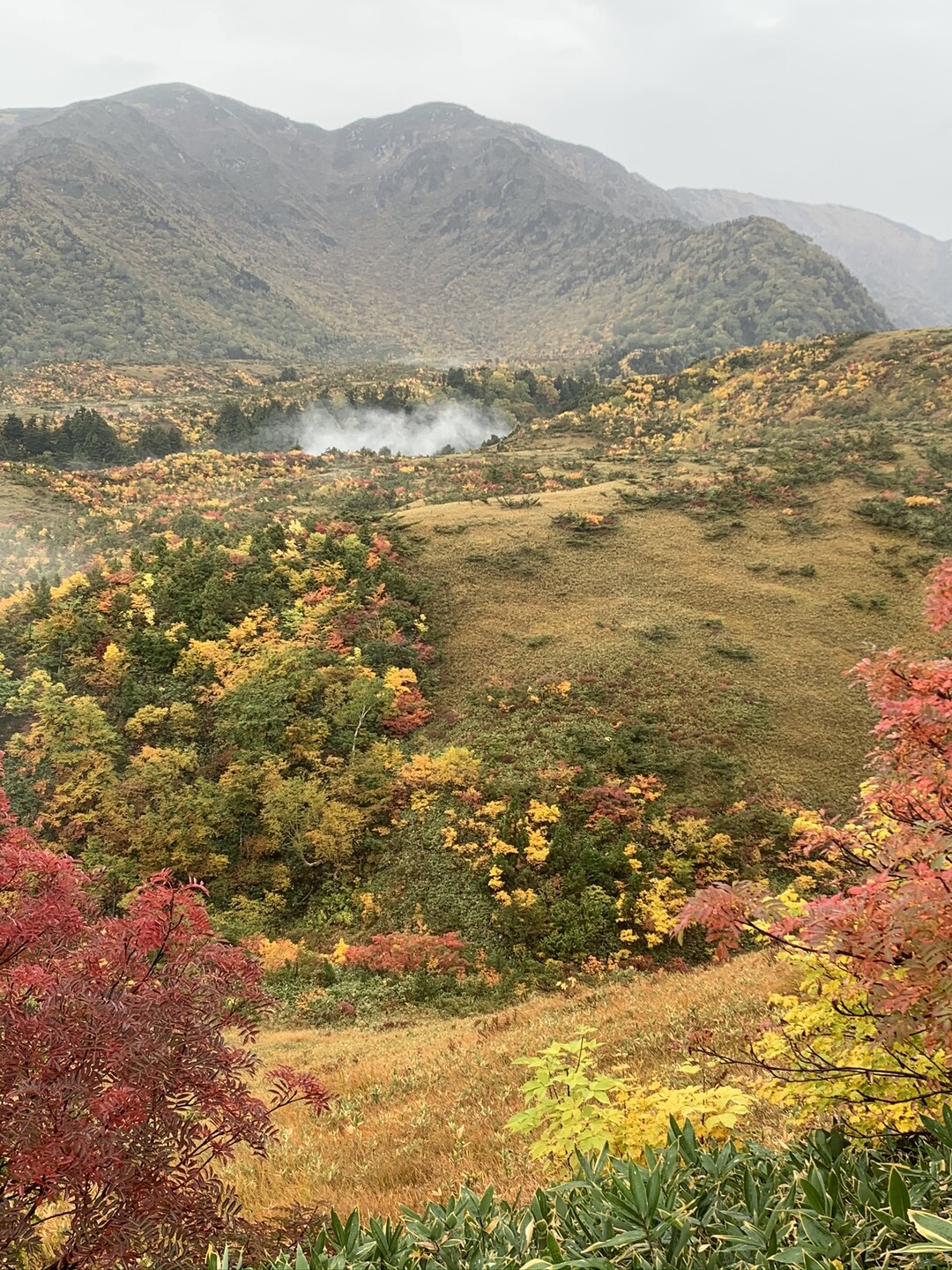 【Day2】 続・紅葉パラダイス in 雨の弥陀ヶ原🍁☔ 室堂→称名滝へ下山！ / わかりんさんの立山・雄山・浄土山の活動データ | YAMAP / ヤマップ