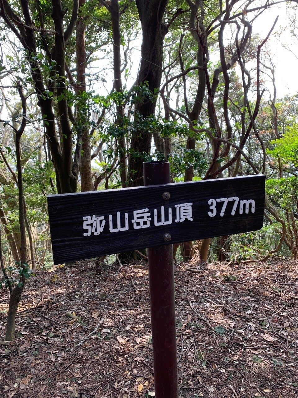 弥山岳-2021-03-10 / yyshigeさんの登山の活動データ | YAMAP / ヤマップ