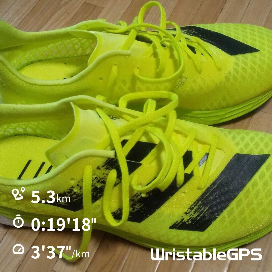 5000mで追い込み🏃‍♂️ 画像の距... / tottinさんのモーメント | YAMAP / ヤマップ