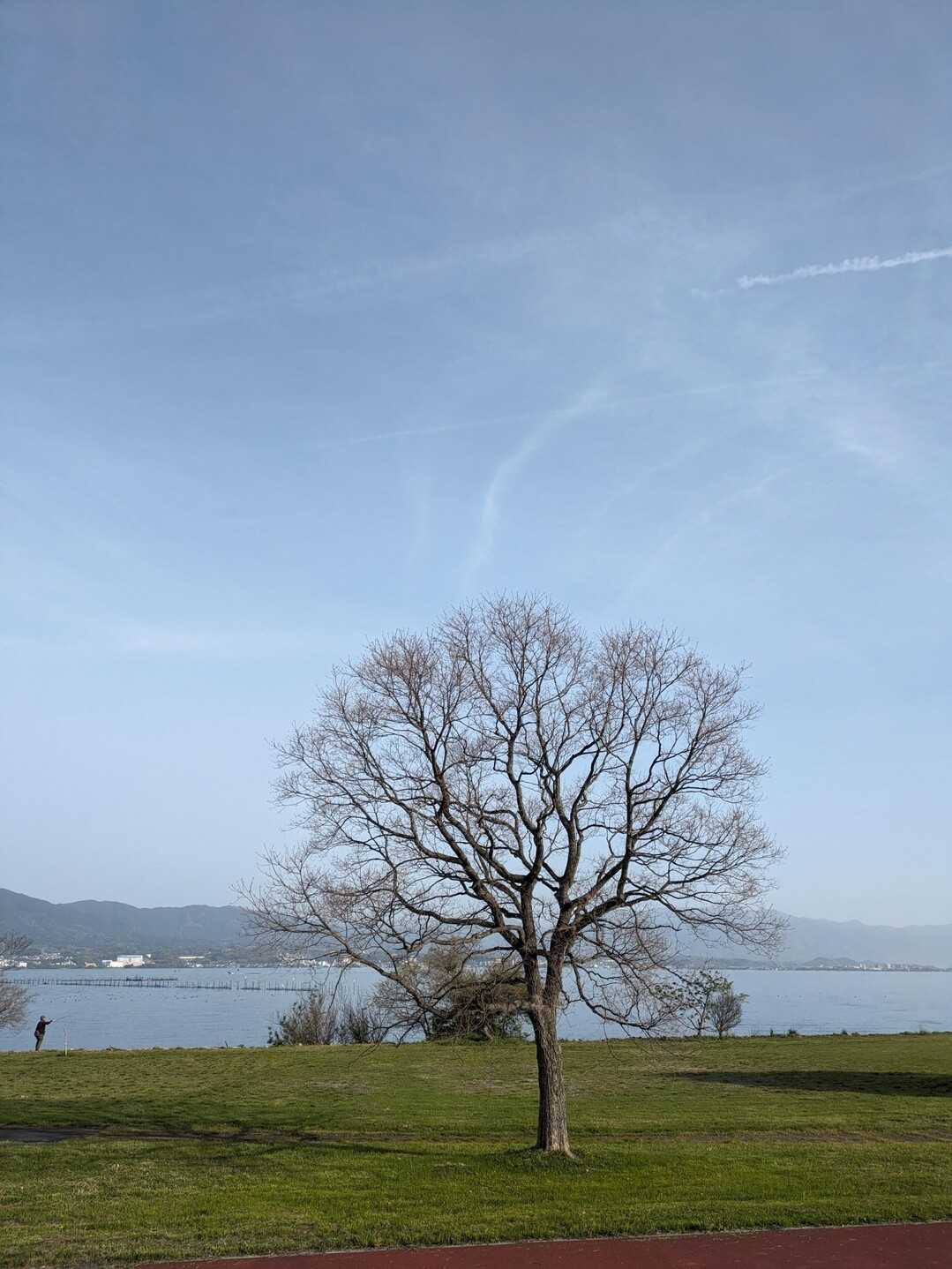 2024.04.19(金) 22:47 / kijimuna@mieさんのモーメント | YAMAP / ヤマップ