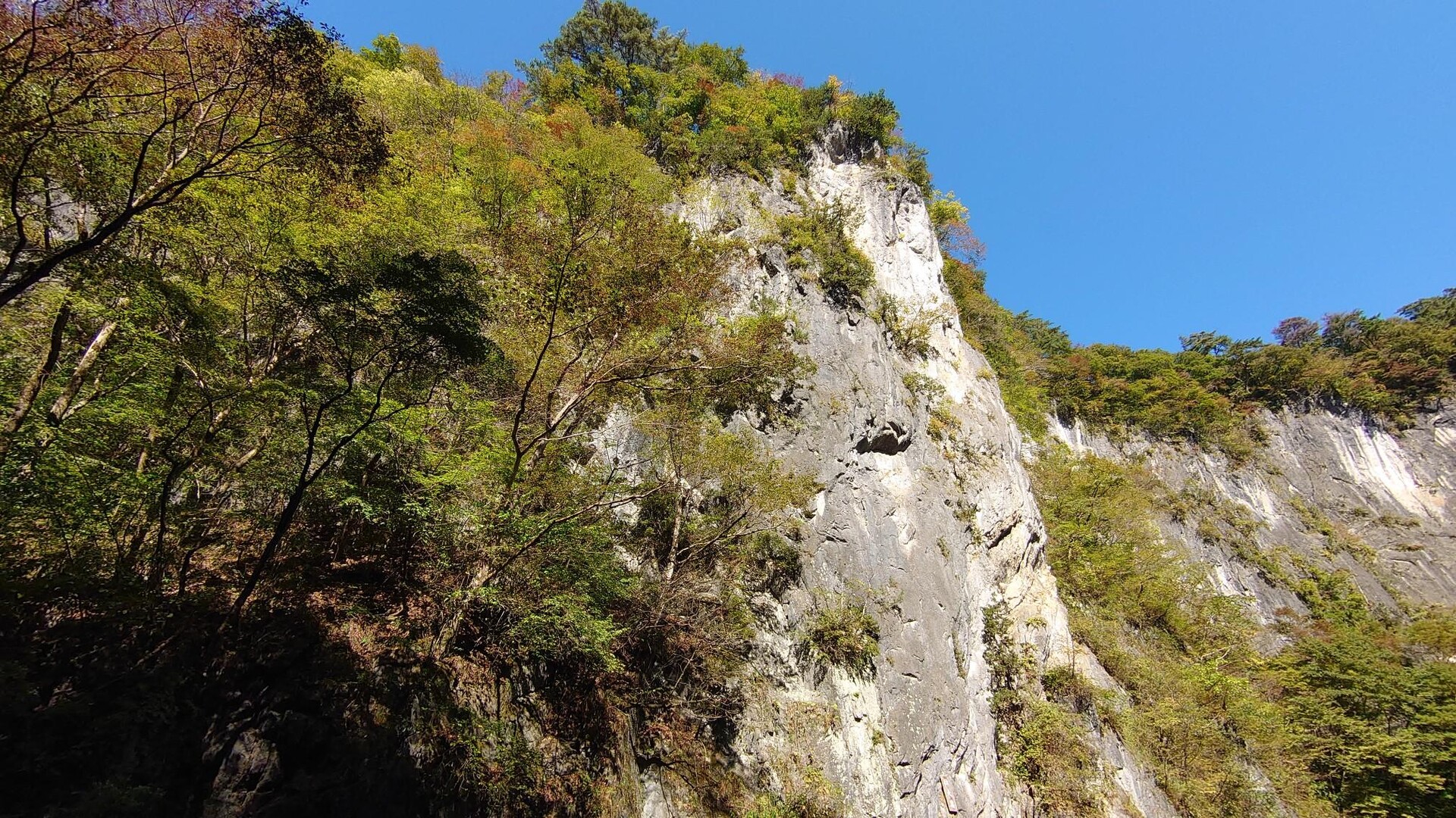 猊鼻渓 / Bluewindさんのウォーキングの活動データ | YAMAP / ヤマップ