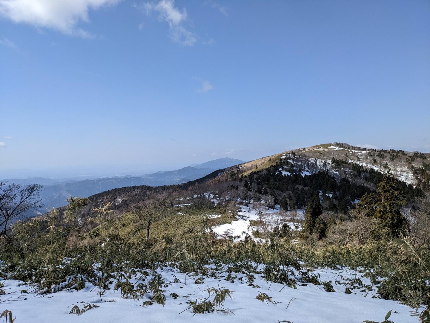 後山 / seigoさんの後山・船木山・駒の尾山の活動データ | YAMAP / ヤマップ