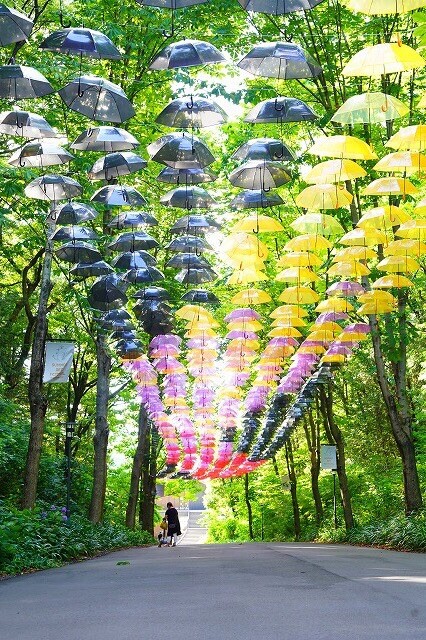 北欧の世界観の中で流れるゆったりとした時... / mochaさんのモーメント | YAMAP / ヤマップ