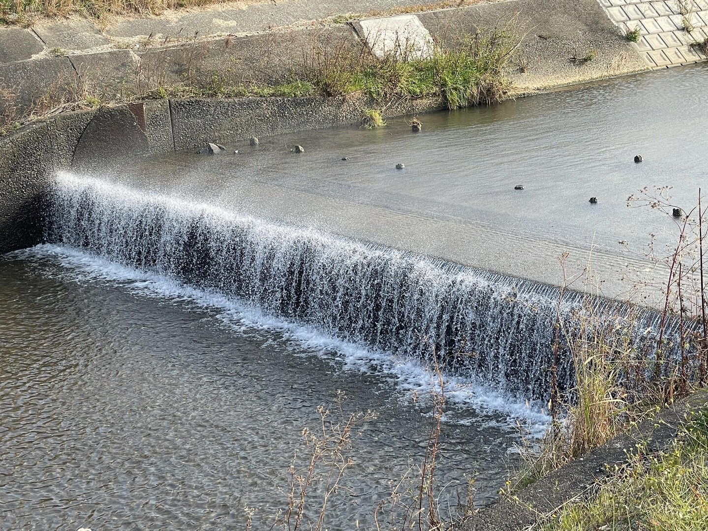 今日は風が強〜い ️ 堰の水が風に戻され... / mattさんのモーメント | YAMAP / ヤマップ