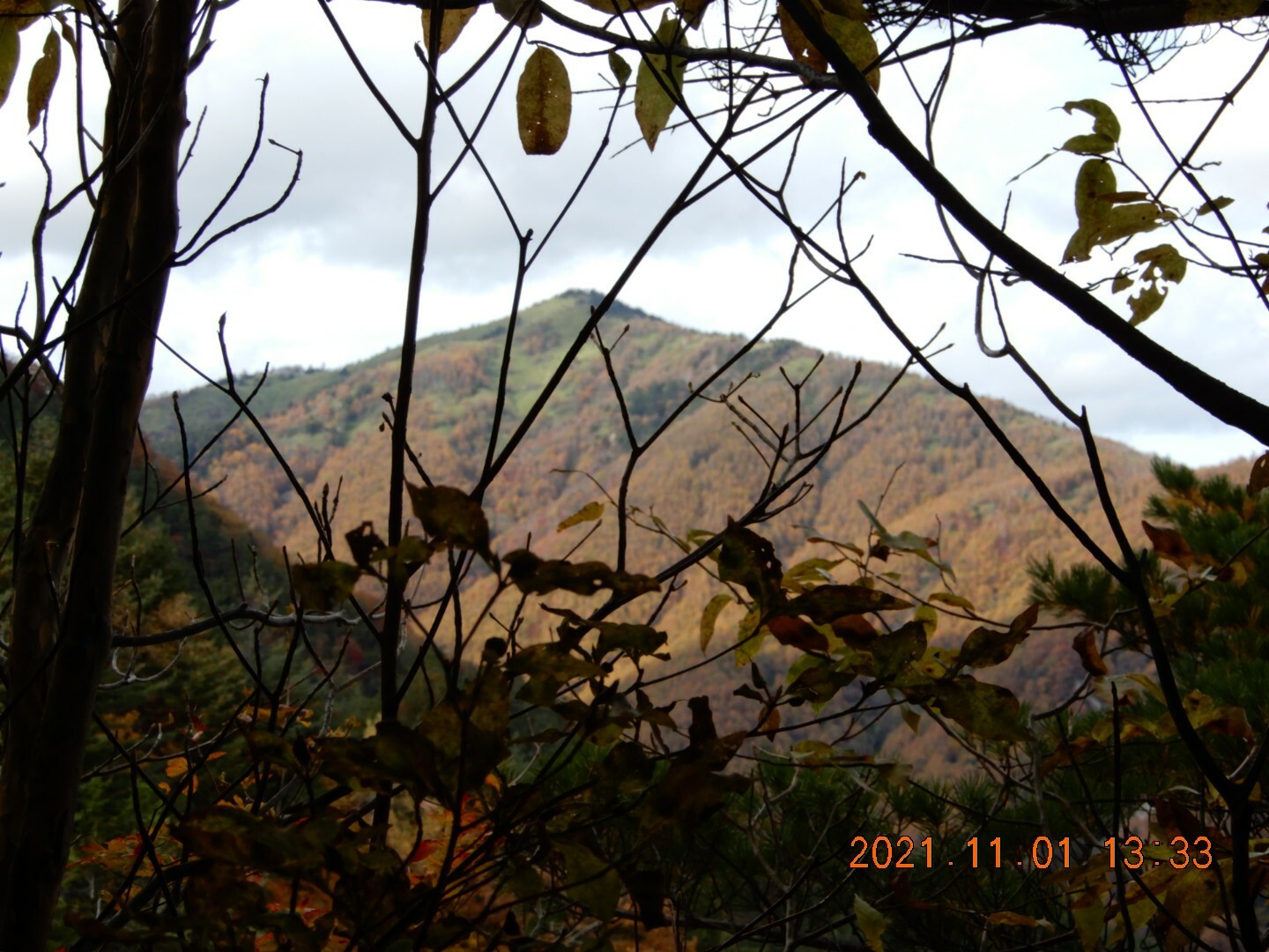 横岳・大川入山 / momotiさんの大川入山・横岳の活動データ | YAMAP / ヤマップ