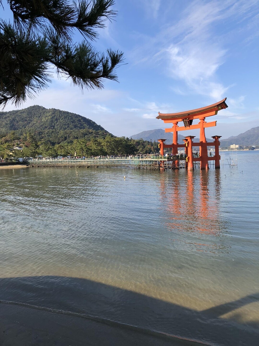 2022.11.19 宮島 弥山 / SCORE さんの宮島（厳島）・弥山の活動データ | YAMAP / ヤマップ