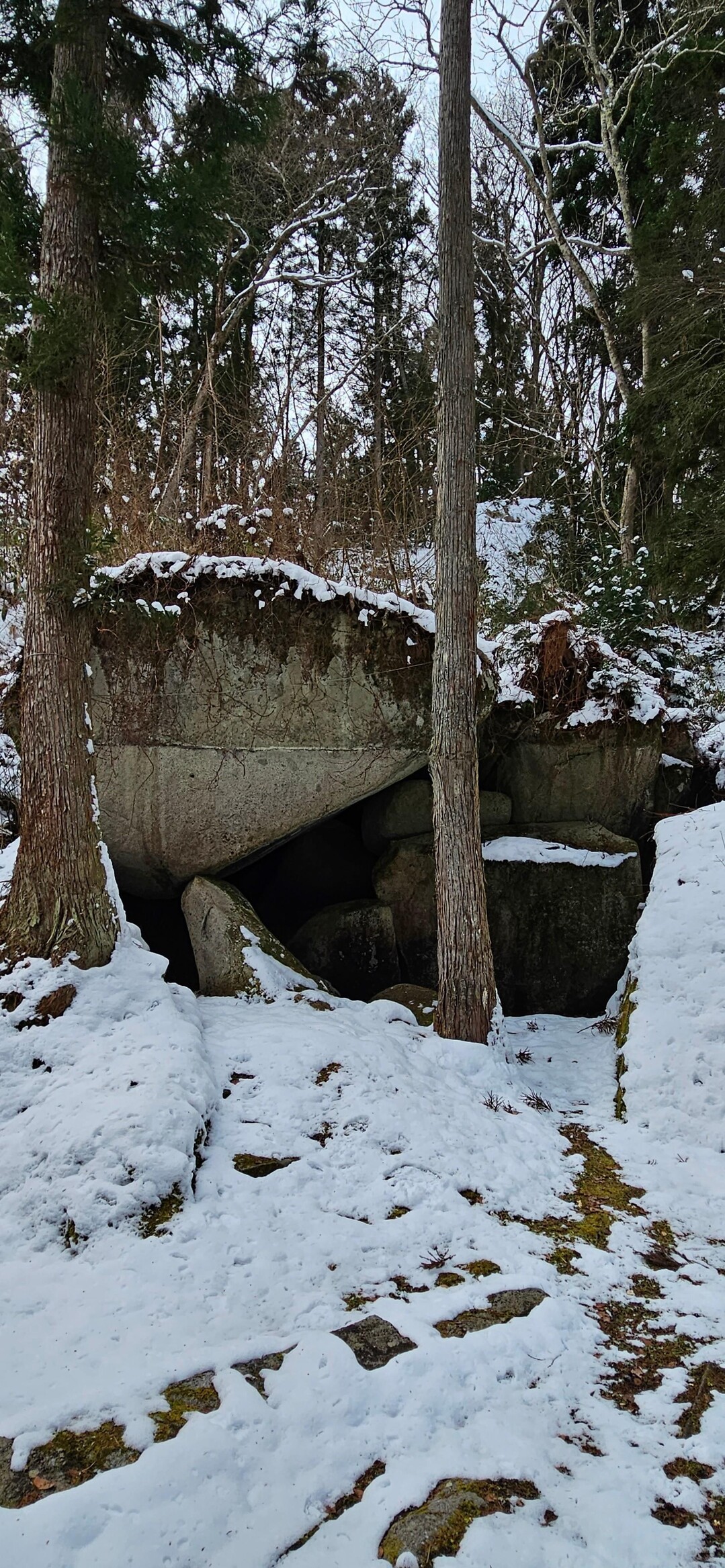 物見山 294m / ケンさんの北上市の活動データ | YAMAP / ヤマップ