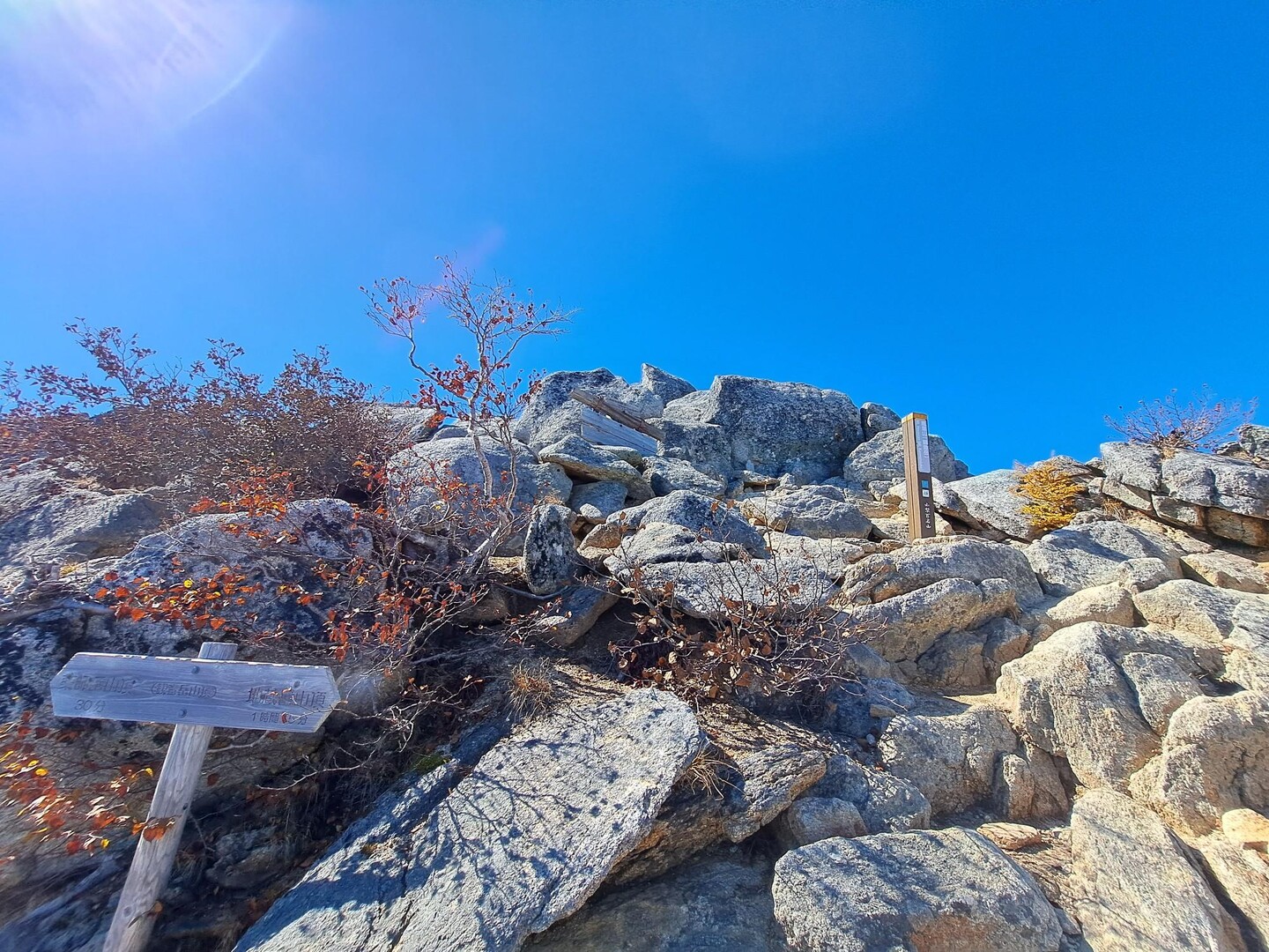 鳳凰三山・高嶺 / Daisuke＠7/14 OSJ ONTAKE100kmさんの鳳凰山・地蔵岳・観音岳・薬師岳の活動データ | YAMAP / ヤマップ