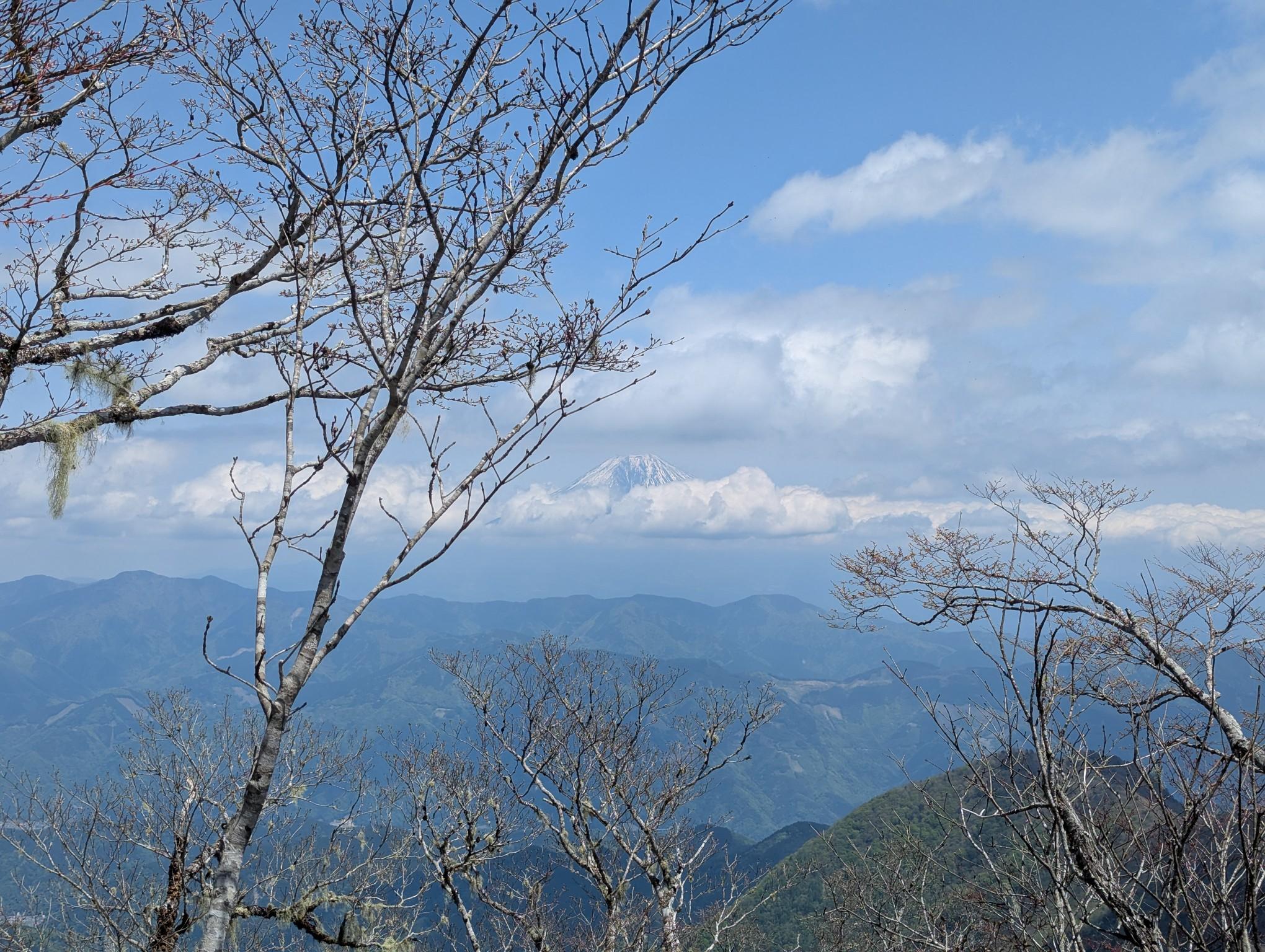 八紘沢の頭・八紘嶺 山梨百名山68/100 / くーがさんの山伏・八紘嶺・笹山の活動データ | YAMAP / ヤマップ