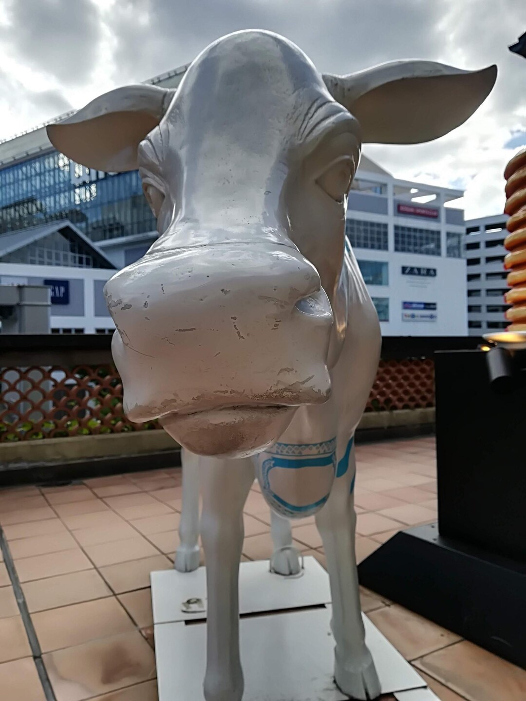 matsu-eriのページ | YAMAP / ヤマップ