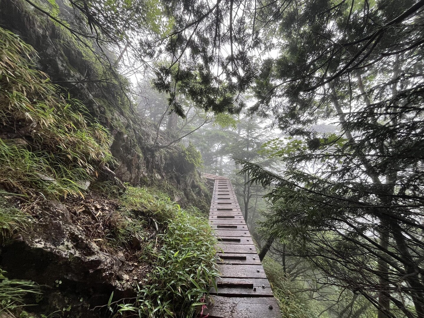 将監小屋から雲取山 / Jimamanさんの甲武信ヶ岳の活動データ | YAMAP / ヤマップ