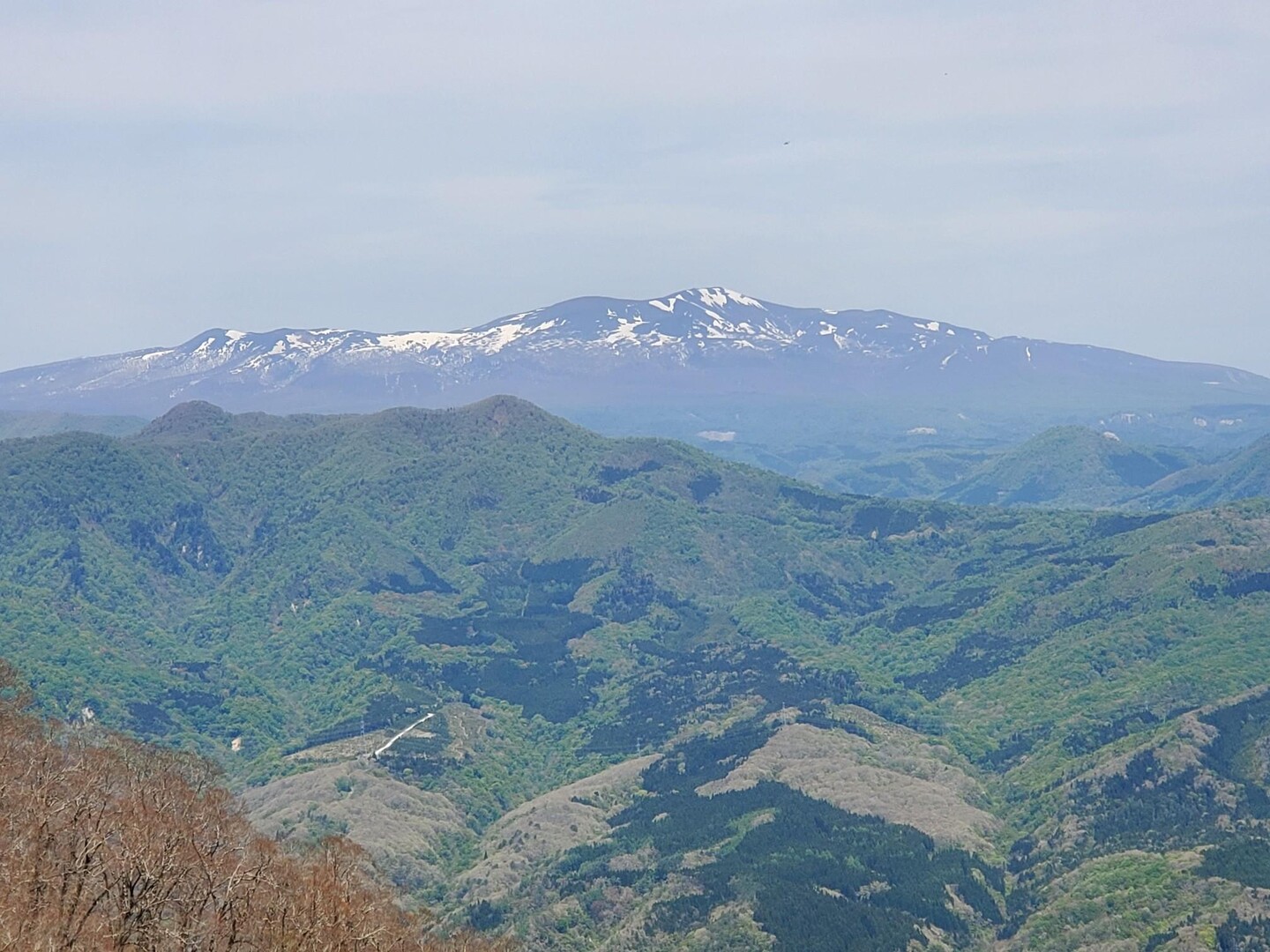 花渕山→大柴山→鍋倉山 / miiさんの禿岳（小鏑山）・小柴山・大柴山・花渕山の活動データ | YAMAP / ヤマップ