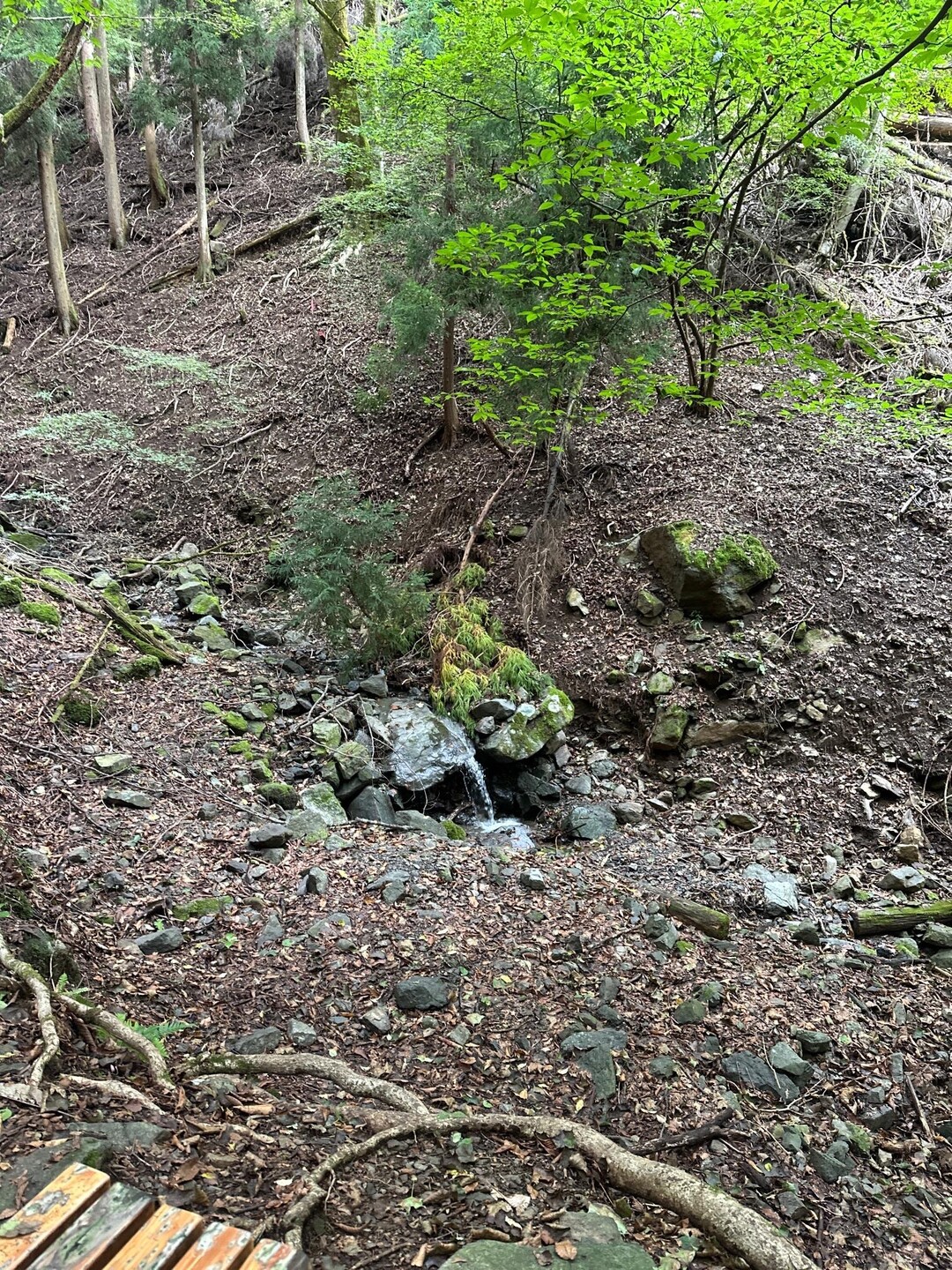 ansoさんの投稿したフィールドメモ | YAMAP / ヤマップ